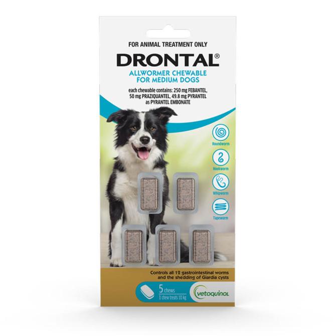 Buy Drontal Dog Allwormer Chewable Medium 10kg 5 Pack Online